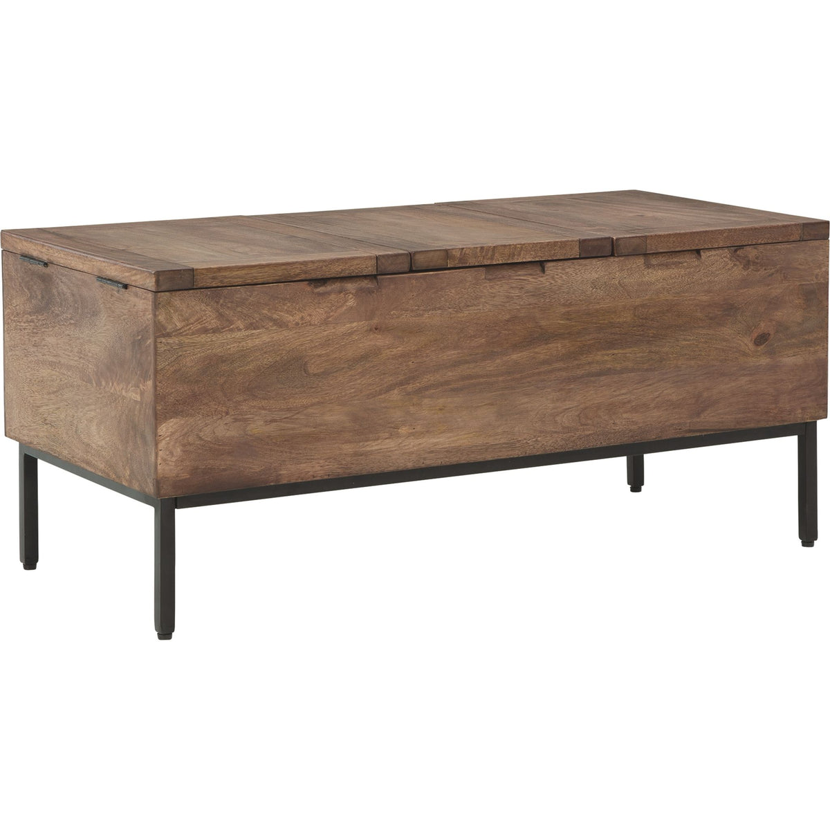 Braddick Trunk | Ashley Canada